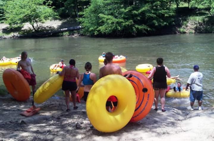 New! Cozy Cabin Mtn Getaway W/ Real Hunting Mounts - Ellijay