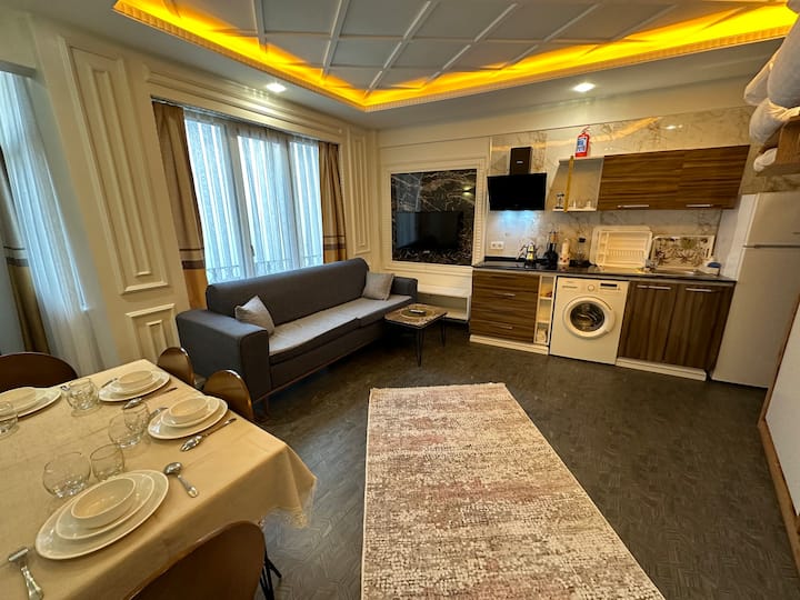 Blue Mansion Flats 2nd Floor 1003 - 伊斯坦堡