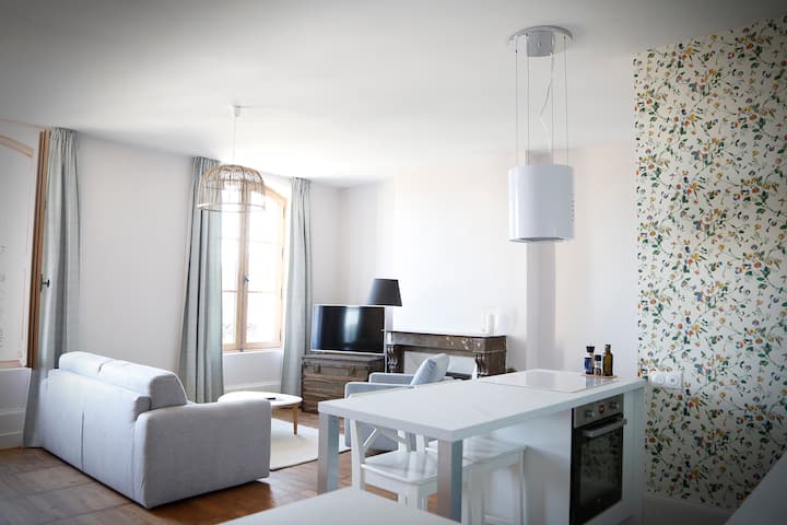 Double Appartement Au Cœur De Blois - Blois