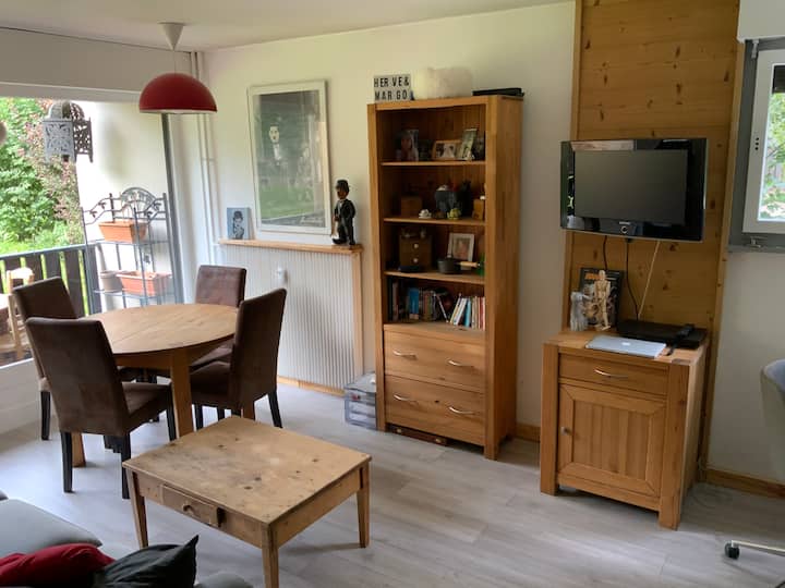 Joli Appartement Dans Un Cadre Calme Et Agréable - Sallanches