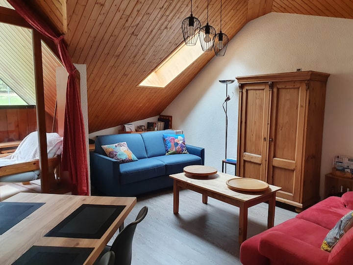 Bel Appartement 3 Pièces 4/6 Personnes, La Borgia - Saint-Gervais-les-Bains