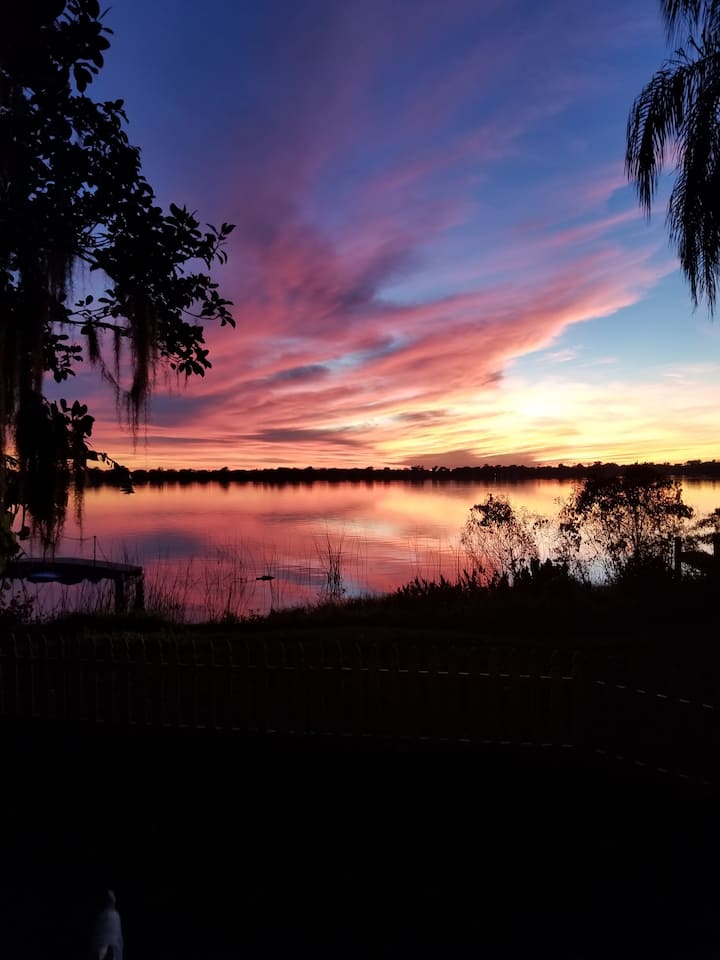 Colorful Little Lakefront Cottage On 5 Acres. - Orlando, FL