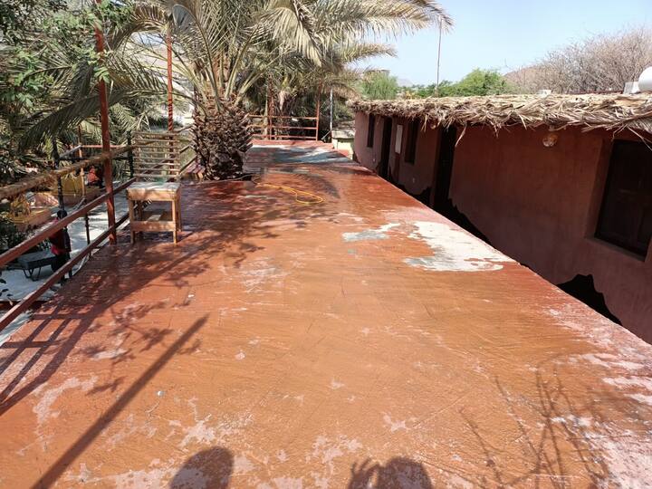 8 Best Farm Stays In The United Arab Emirates - Updated 2023 | Trip101