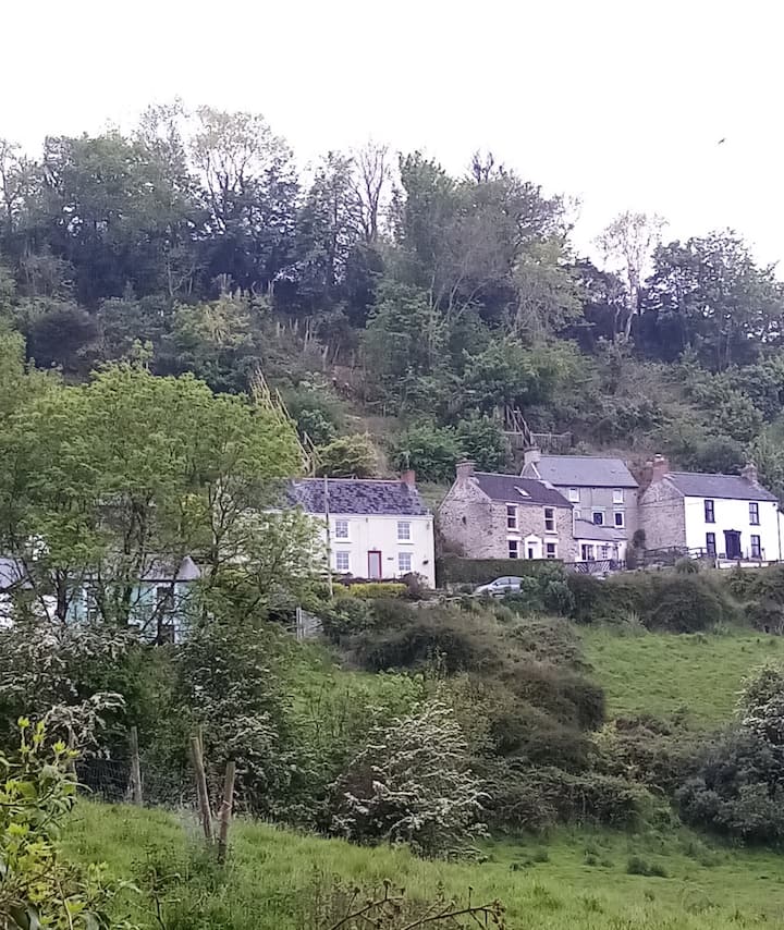 Beautiful Stone Cottage With Estuary View - Cardigan