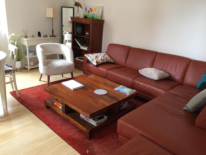 Albi Superbe Appartement 50 M² Vue Cathédrale - Albi