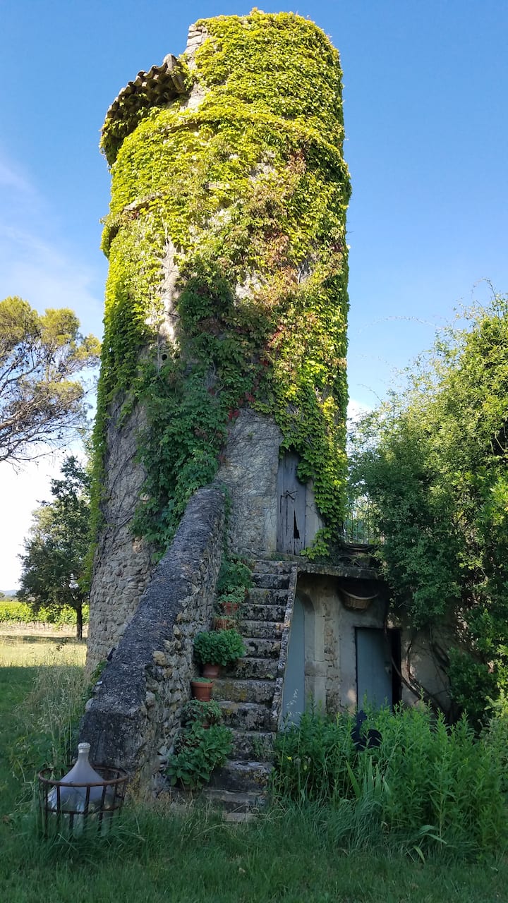 Appartement Au Coeur D'un Vignoble En Provence - Suze-la-Rousse