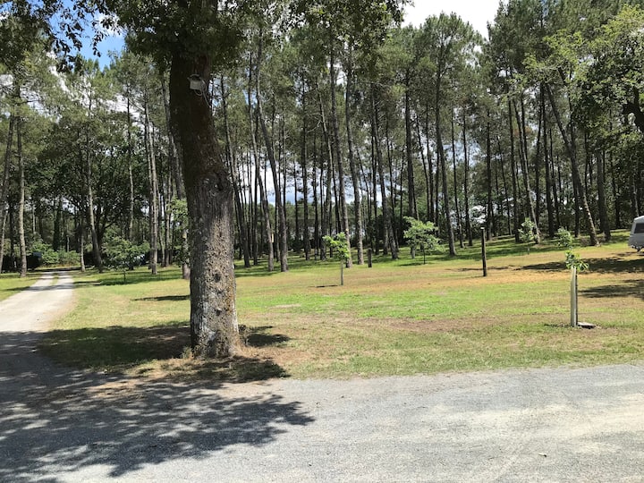 Gite ** Chaleureux Et Calme Près D’une Rivière - Linxe