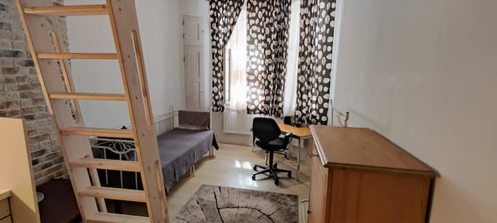 Spacious Ground-floor Apartment In Etu-töölö - Helsinki