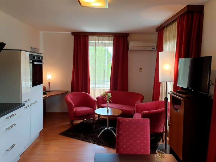 Zwei-zimmer-apartment "Hellbrunn" Vollklimatisiert - Salzburg