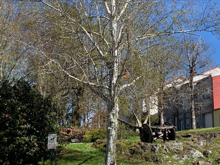 Falda Do Pedroso - Santiago de Compostela