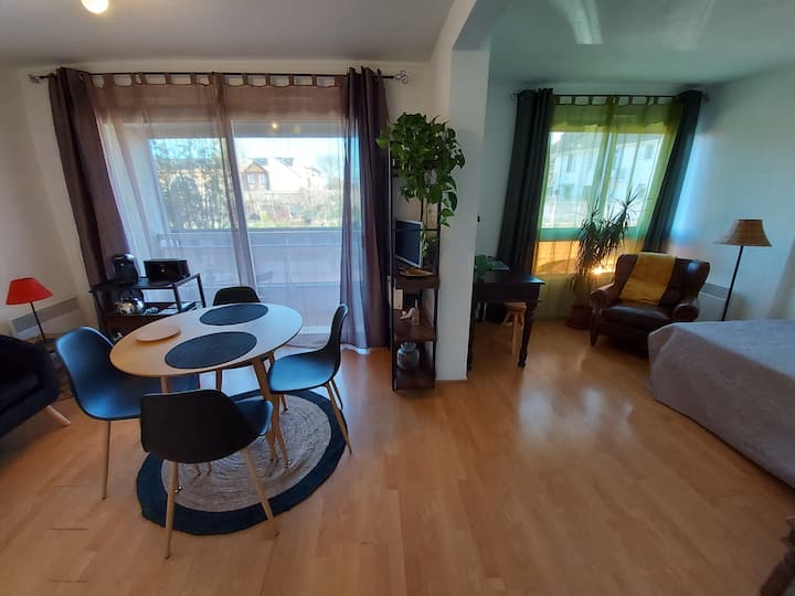 T1 Bis, Proche Centre Ville, Clinique & Mariecurie - Tarbes