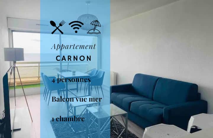 029 - Carnon T2, Vue Sur Mer, 1ère Ligne * - Pérols