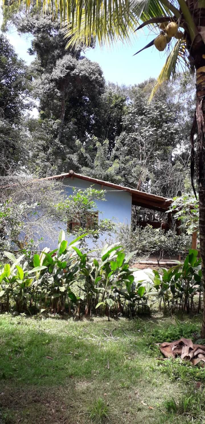 Casa Na Mata Atlântica - Itacaré