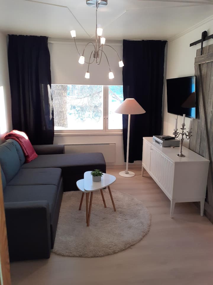 One Room In Peaceful Grandma's House - Kalajoki