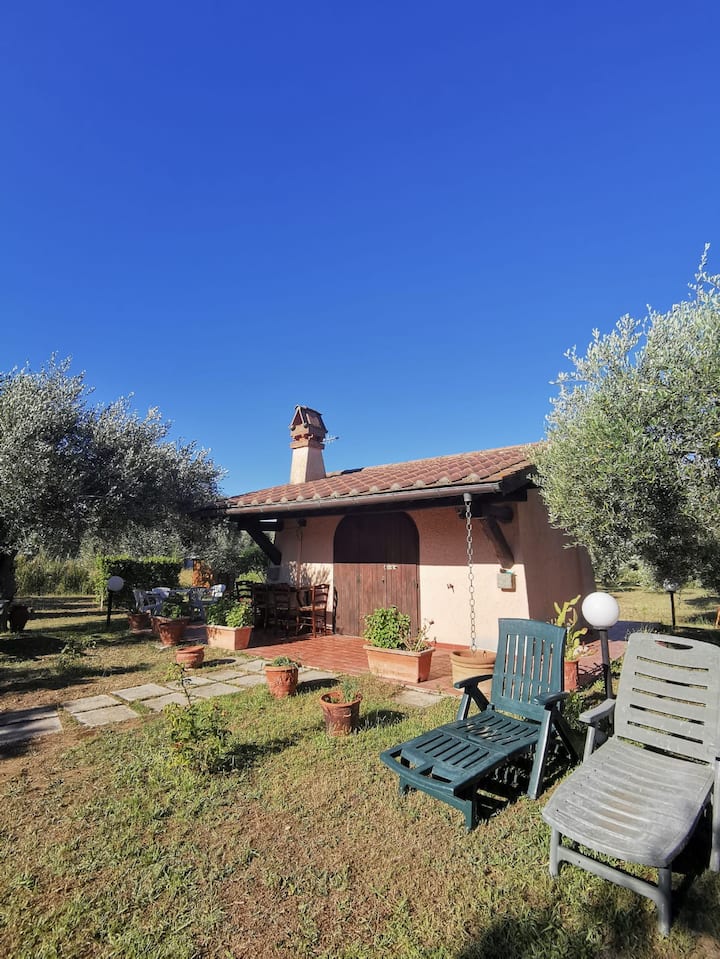 Da Graziano
Rifugio Toscano - Castiglione della Pescaia