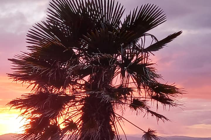 Stunning Llyn Beachside (30mtrs) Peaceful Apartm - North Wales