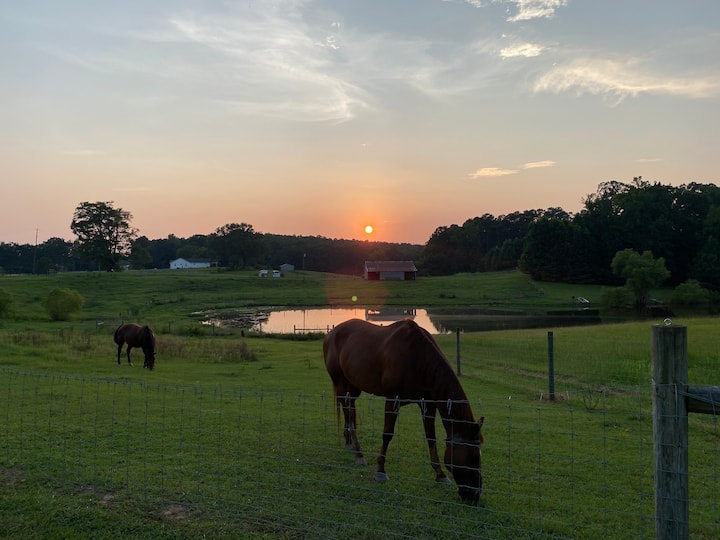 10 Best Ranches To Stay In Alabama, USA - Updated 2024 | Trip101