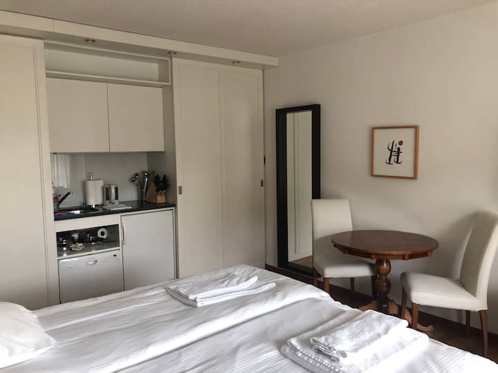 Charming Studio/old Town (Uz3) - Zúrich, Suiza