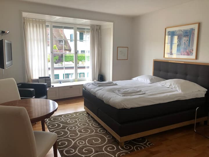 Charming Studio/old Town (Uz3) - Zurique