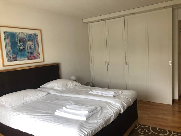 Charming Studio/old Town (Uz3) - Zürich