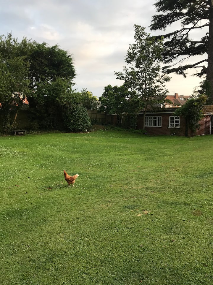 The Old Surgery: Private, Patio And Secure Parking - Topsham