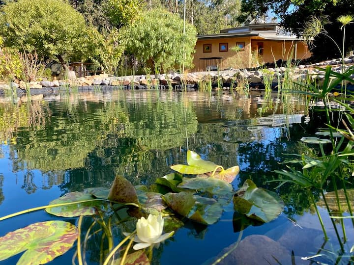 Cabaña Tipo Loft - El Quisco