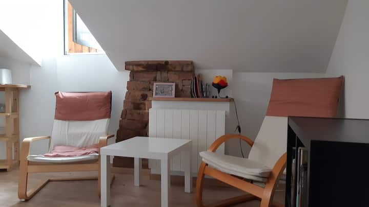 Grenoble: Studio Proche Gare Et Centre Ville - Ibis Budget Grenoble Sud Seyssins
