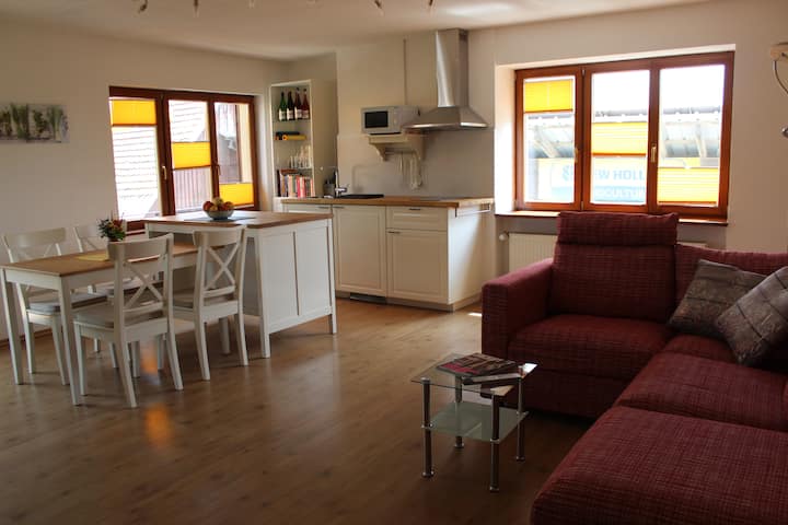 Ferienwohnung In Altem Gutshaus - Hilzingen