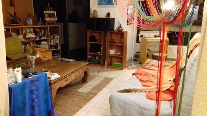 Chbre Dble Balcon Ds Appart Spacieux, Pkg Gratuit - Grenoble