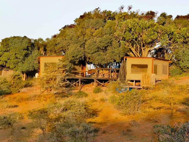 Luxury Safari Tent Tree House - Humansdorp