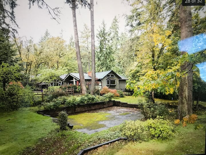 Hendricks Park Sanctuary 1: Elegance & Harmony - Springfield, OR