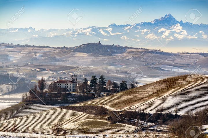 Alimentia House - Alba - Alba