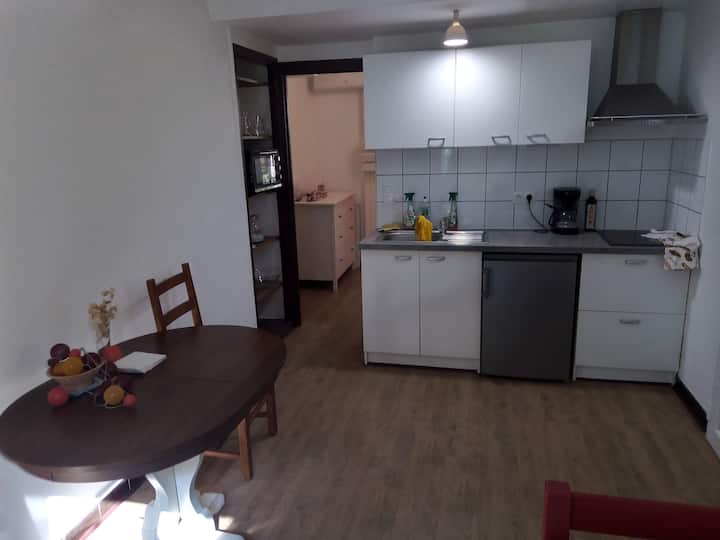 Superbe Appartement Donnant Sur Un Jardin Boisé. - Nîmes