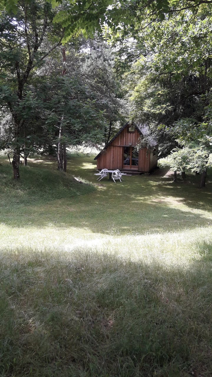 Champs Sur Tarentaine Gite à La Ferme - Bort-les-Orgues