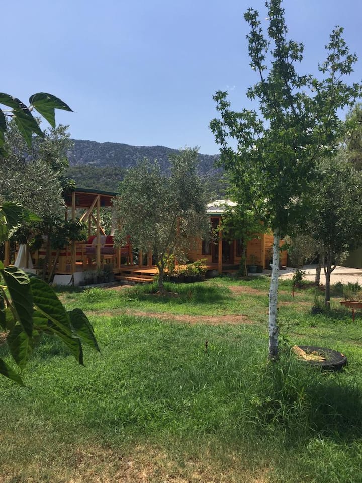 ÇıRalı Private House In Huge Garden - Çıralı