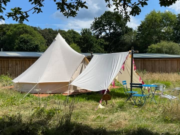 'Billy' - 5m Bell Tent In The Fantastic New Forest - Ringwood