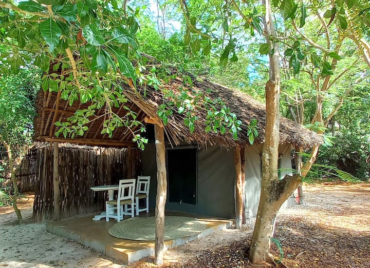 Tent Hut In A Beachfront Forest - Kenya