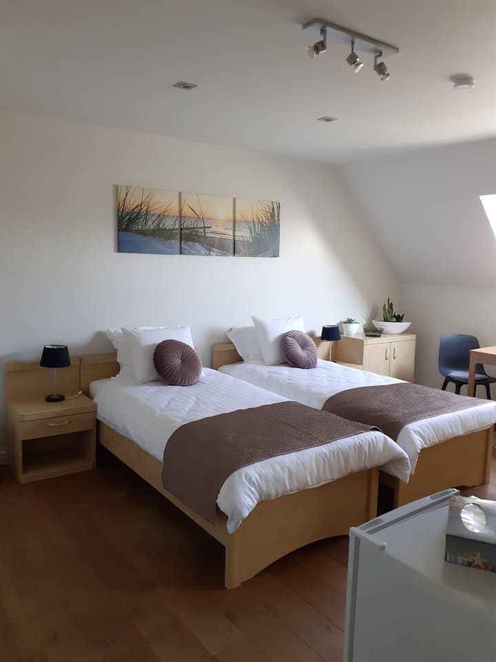 Gezellig Verblijf In Prachtige Top Locatie - Lille