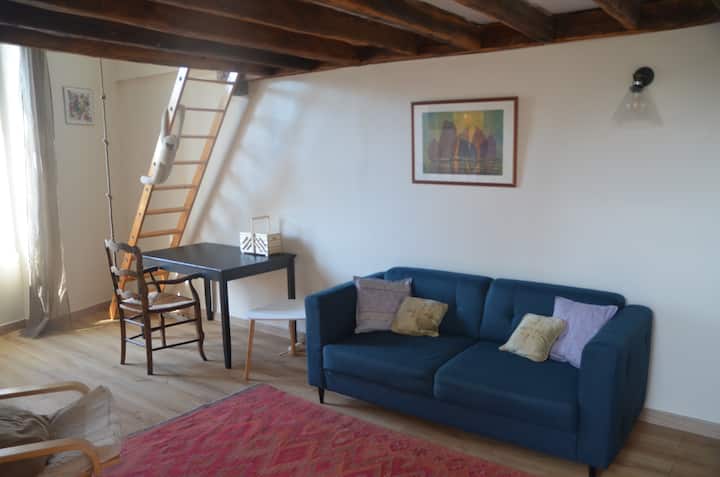 Agréable Studio Dans Quartier Calme - Orléans