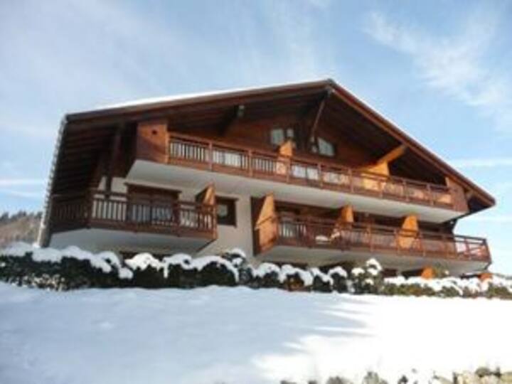 Ambiance Chalet Pour Ce Duplex Bois Avec Sauna - Lac de Saint-Guérin