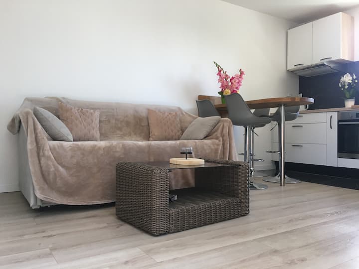 Discret T2 Cocooning Avec Grande Terrasse - Annecy-le-Vieux