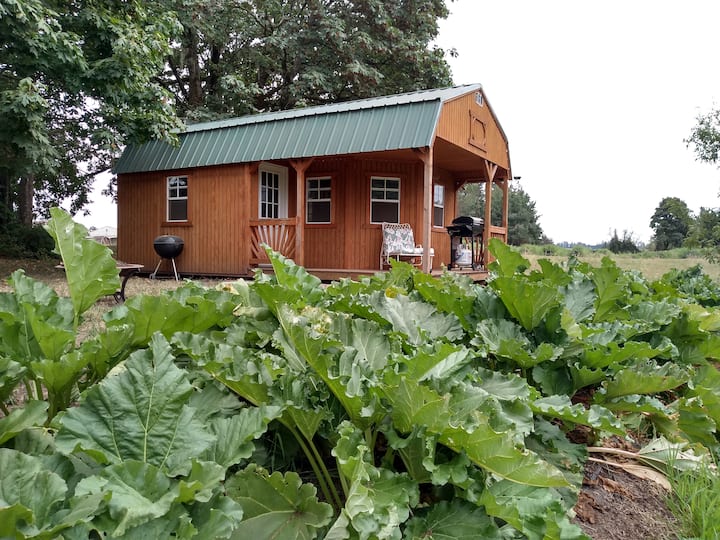 Lilly Pond Cabin, Dry "Camping" - Monmouth, OR