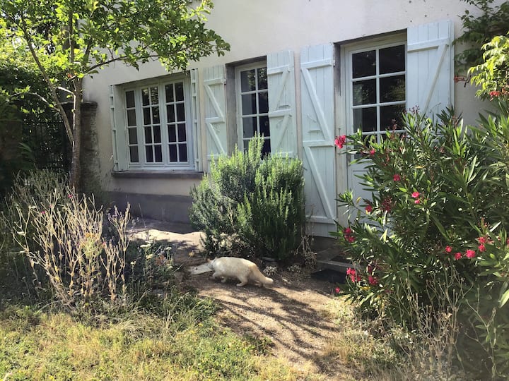 Guest House “Le Petit Clos” Noyée Dans La Verdure - Limousin