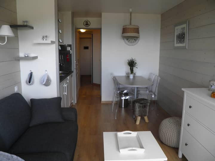 Avoriaz T2 Appart Classé 2* Cosy Montain Vue Excep - Avoriaz