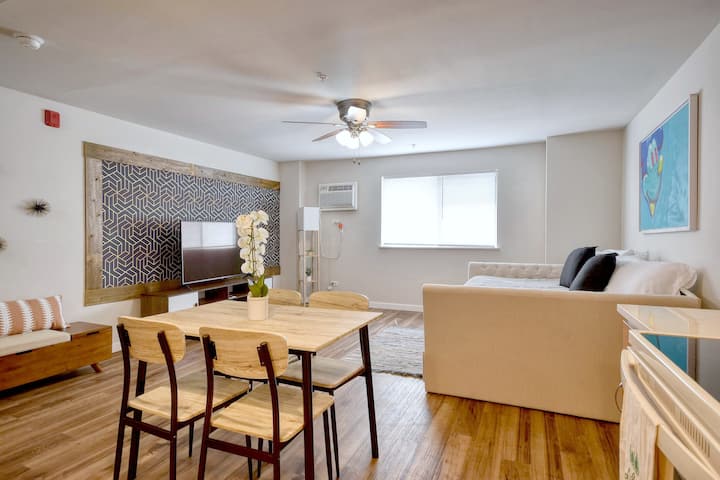 102 Mid-century Rustic Studio - Cicero, IL