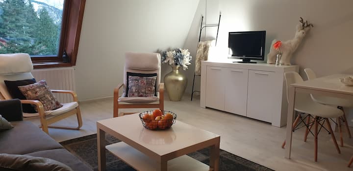 Precioso Estudio Céntrico - Formigal