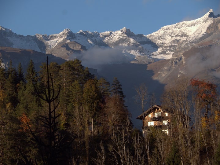 3-zimmerwohnung Im Chaletstil,
Rheinschlucht - Safiental GR
