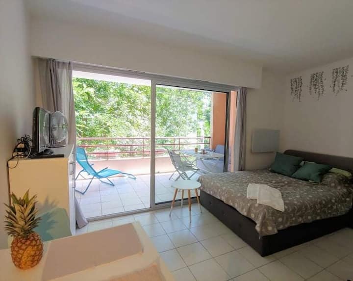 Jolie Studio - Terrasse - Piscine - Parking - Villeneuve-Loubet