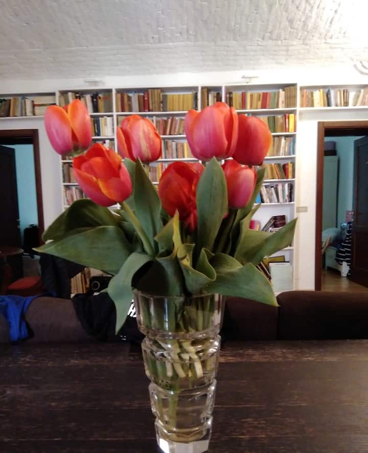 Appartamento Incantevole Nel Centro Di Torino - Turijn