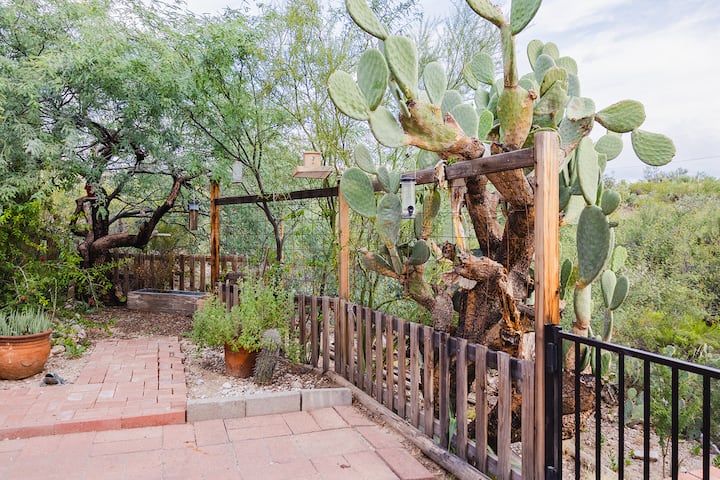 Coyote Cavern: A Southwestern High Desert Retreat - Sonora